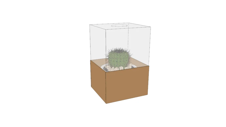 cactus box | 3D Warehouse