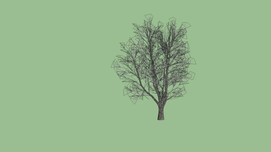 Tree | 3D Warehouse