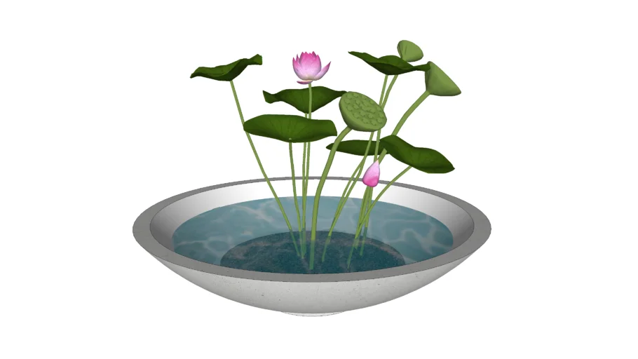 Lotus plant | 3D Warehouse