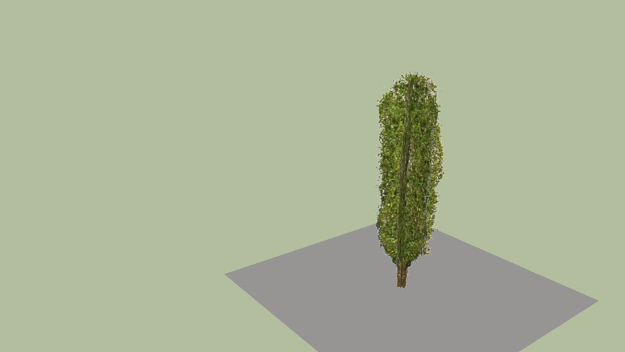 Tree #7 | 3D Warehouse