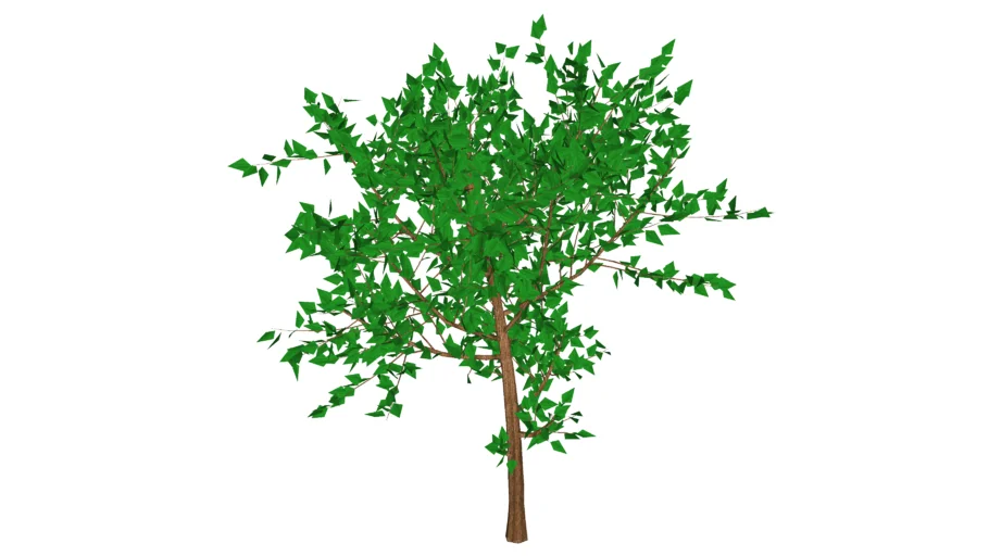 3D Generic Tree 00 | 3D Warehouse