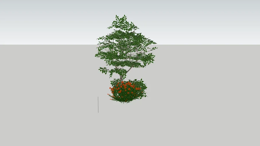 Baum 01 01.skp | 3D Warehouse