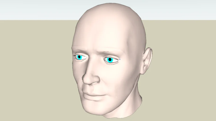 human head | 3D Warehouse