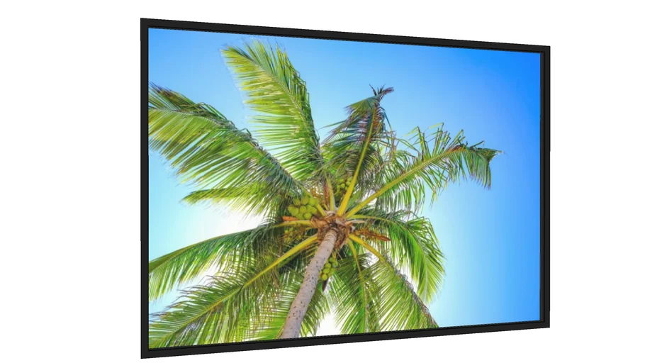 Quadro Coqueiro - Galeria9, por Raul Pereira | 3D Warehouse