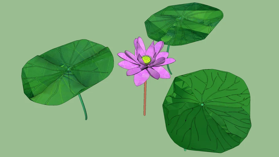 Lotus | 3D Warehouse
