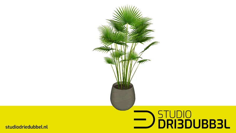 PLANT | 3D Warehouse