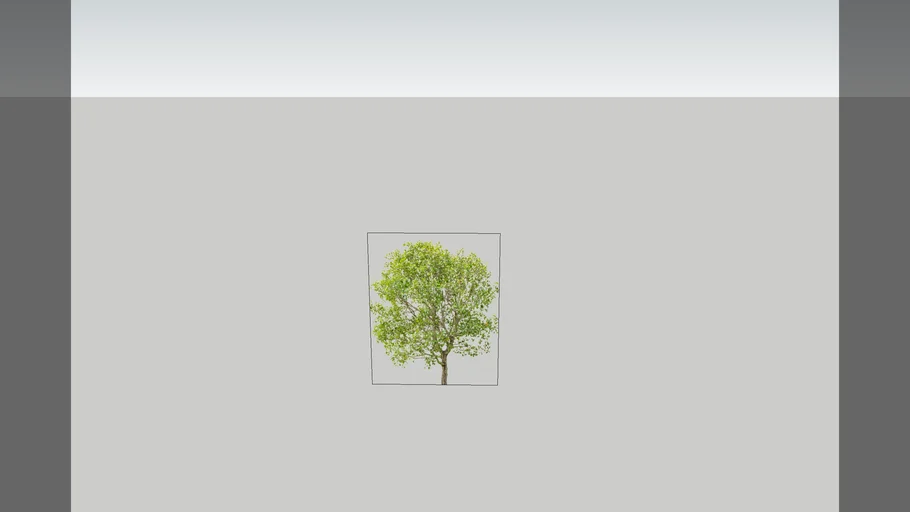 TREE 2D | 3D Warehouse