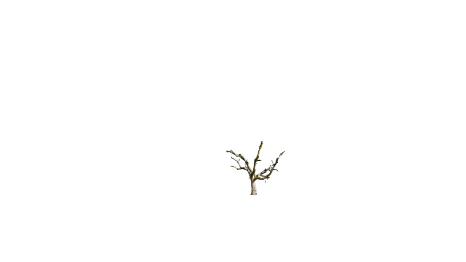 dead tree | 3D Warehouse
