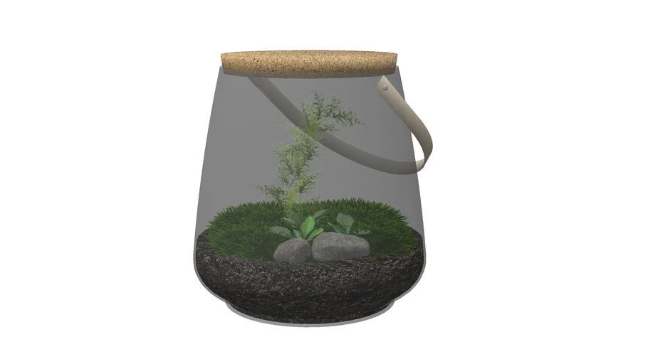 Terrarium | 3D Warehouse