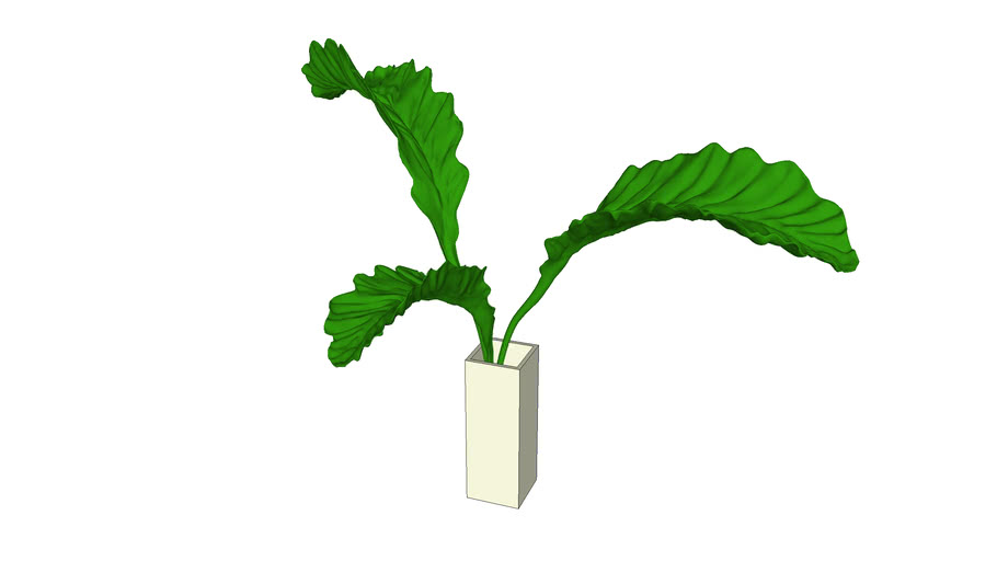 TROPICAL PLANT | 3D Warehouse