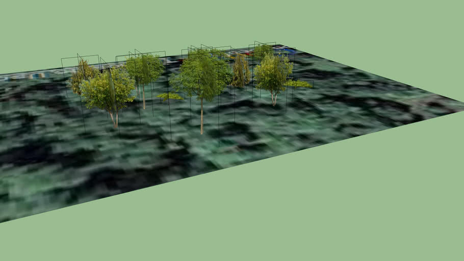 Rain Forest | 3D Warehouse