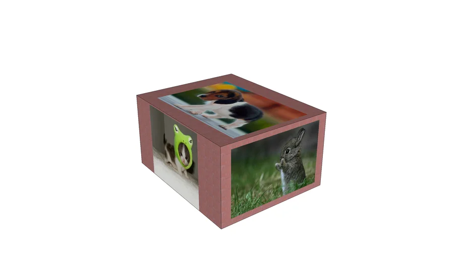 Cute Box | 3D Warehouse