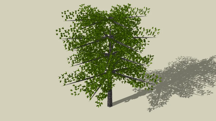 Tree | 3D Warehouse