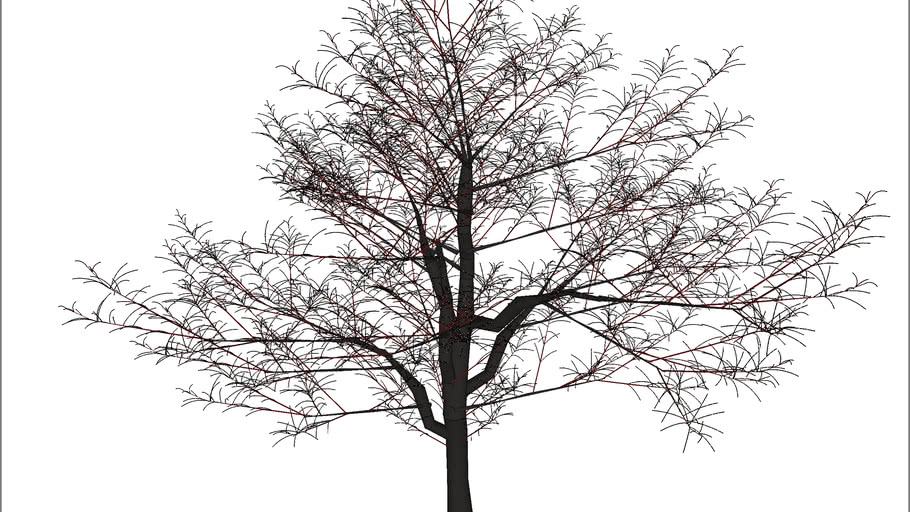 1632 LIGHT 9' TWIG TREE, WARM WHITE LEDS | 3D Warehouse