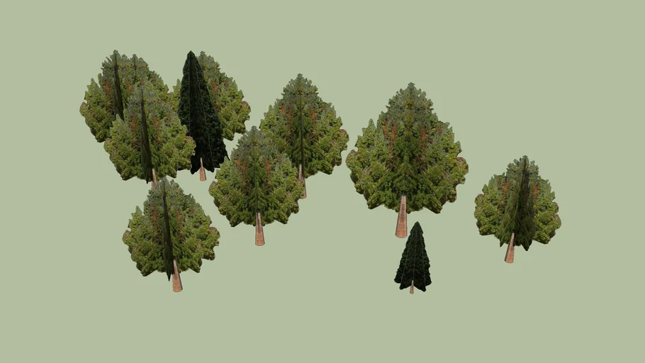 Conifers and Pines | 3D Warehouse