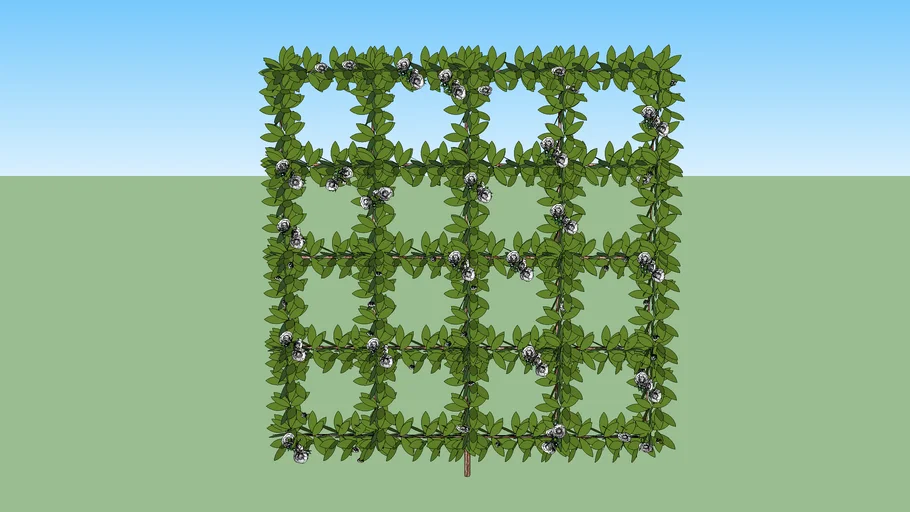 Espalier vine square trellis | 3D Warehouse