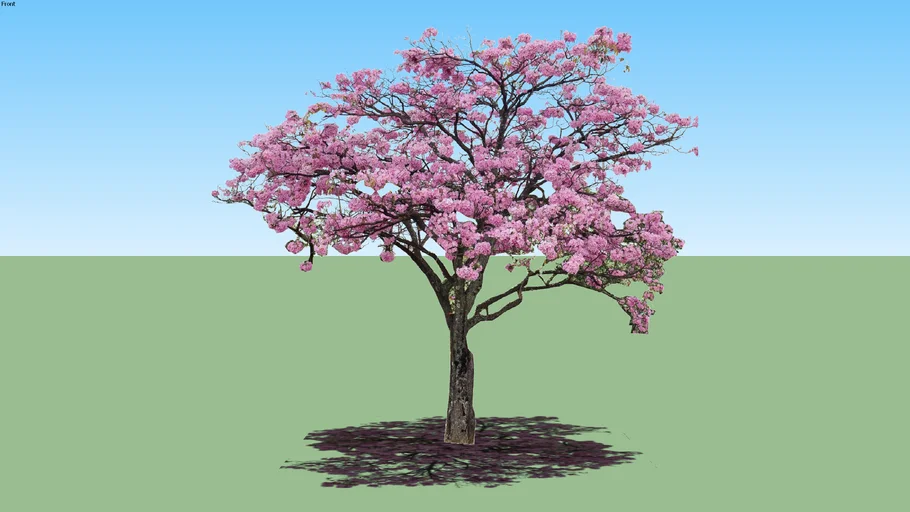 Tree (05) | 3D Warehouse