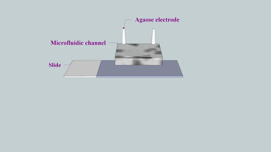 Microfluidic Channel | 3D Warehouse