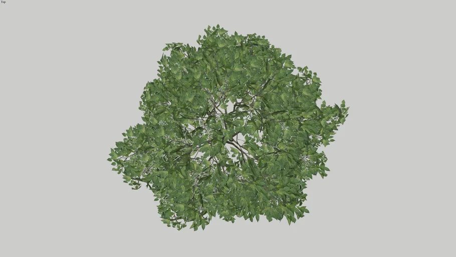 cay 2 | 3D Warehouse