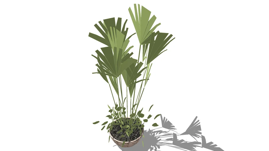 Plant-028-ok.skp | 3D Warehouse