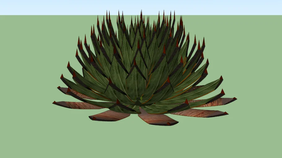 red tip agave texture | 3D Warehouse