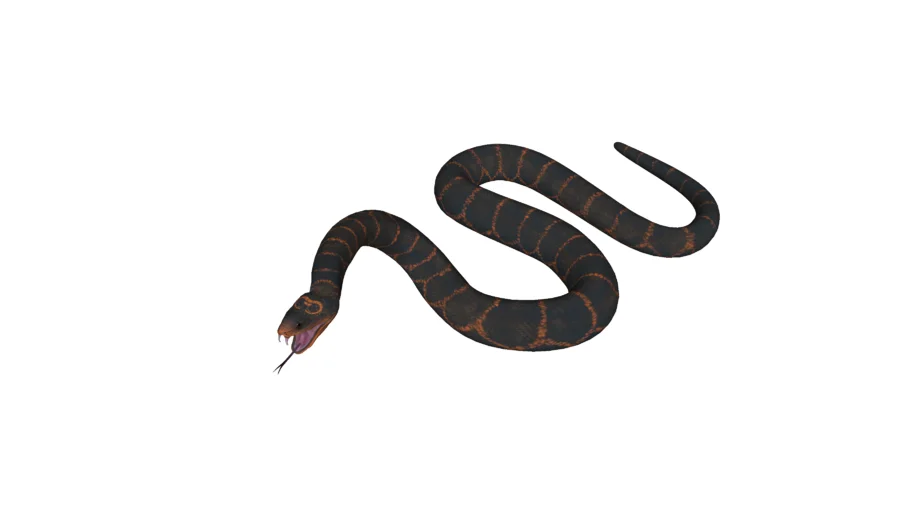 Snake | 3D Warehouse