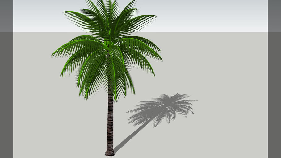 coconut tre | 3D Warehouse