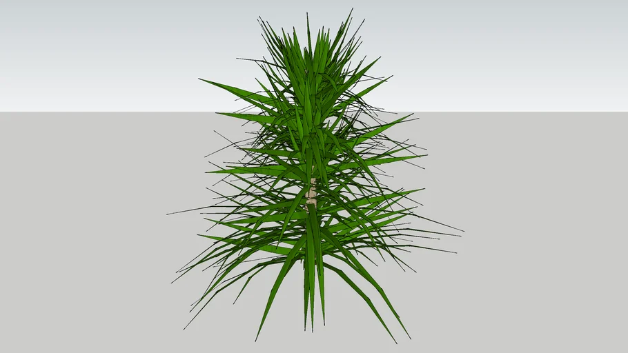 Random Plant | 3D Warehouse
