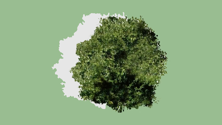 2d tree | 3D Warehouse