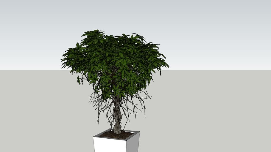 Vaso planta 14 | 3D Warehouse