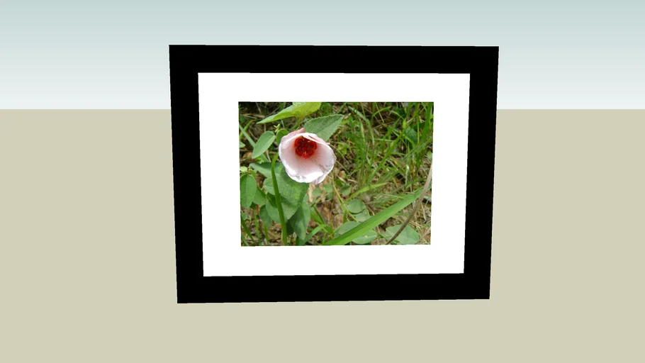 Quadro Flor SJBG | 3D Warehouse