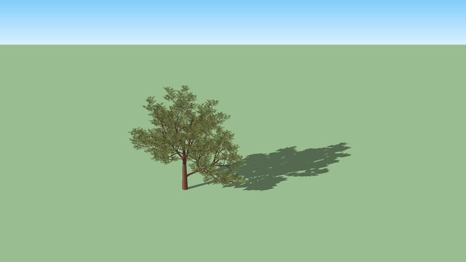 Large tree very detailed (low poly version) | 3D Warehouse