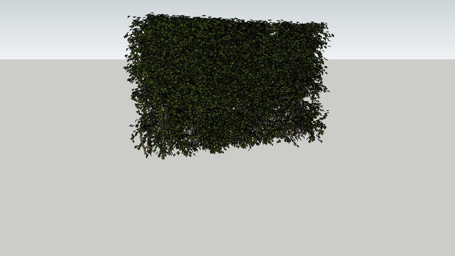 bush | 3D Warehouse