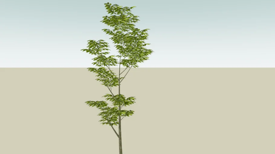 kbr_plant001 | 3D Warehouse