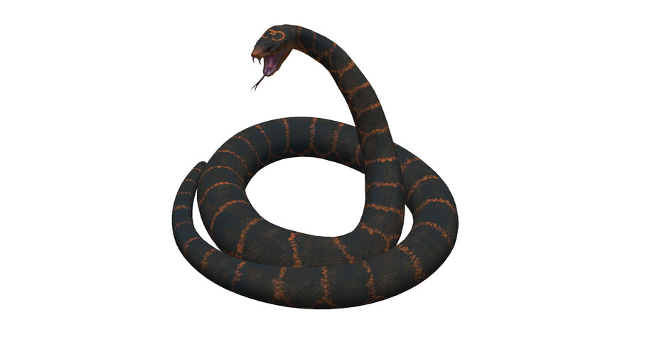 Snake | 3D Warehouse