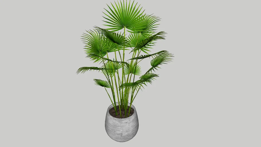 tumbuhan 1 | 3D Warehouse