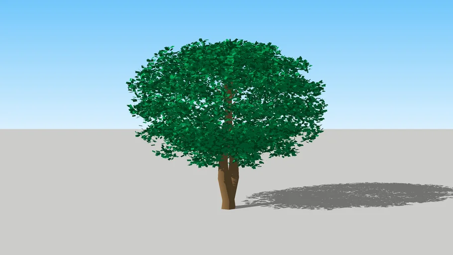 tree 2 | 3D Warehouse