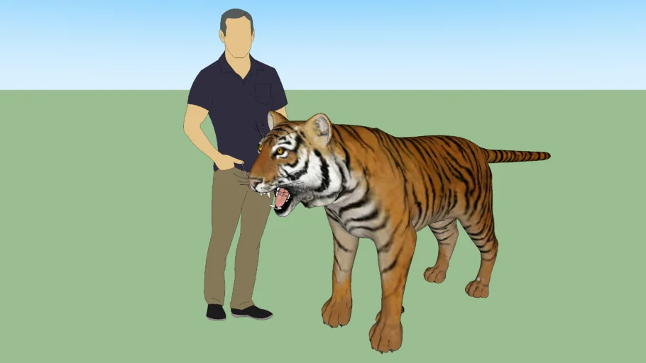 tiger | 3D Warehouse