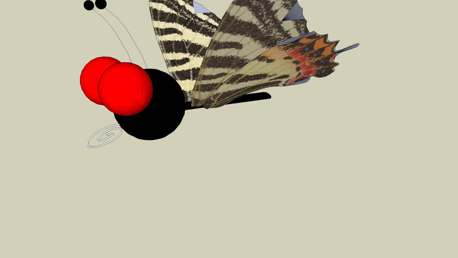 Butterfly | 3D Warehouse