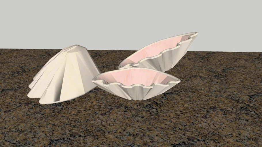 Conch Seashell Shell Muschel | 3D Warehouse