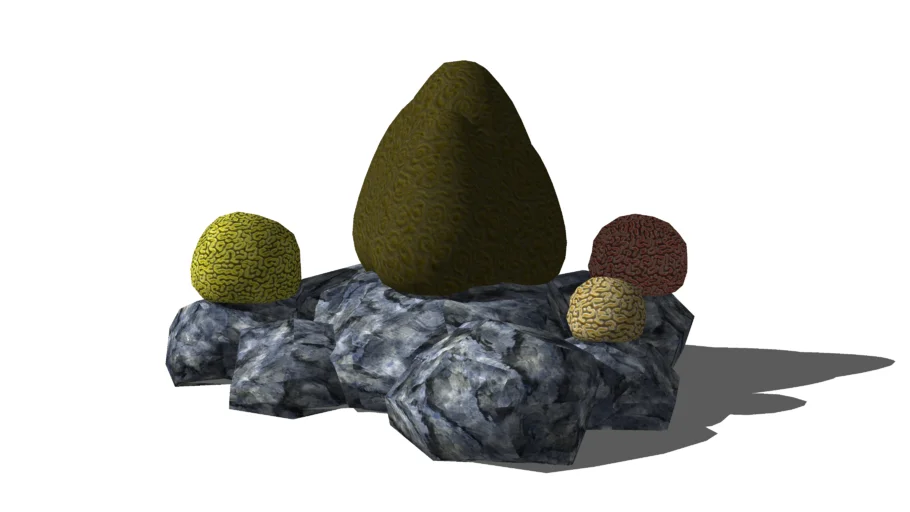 Corals | 3D Warehouse