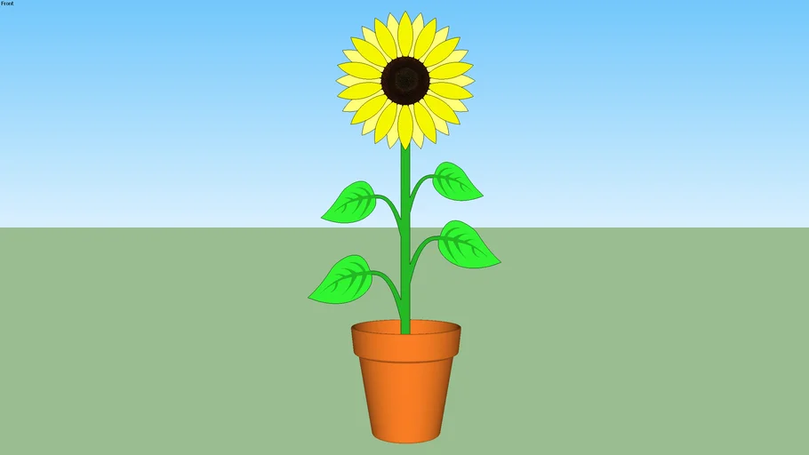 Sunflower | 3D Warehouse