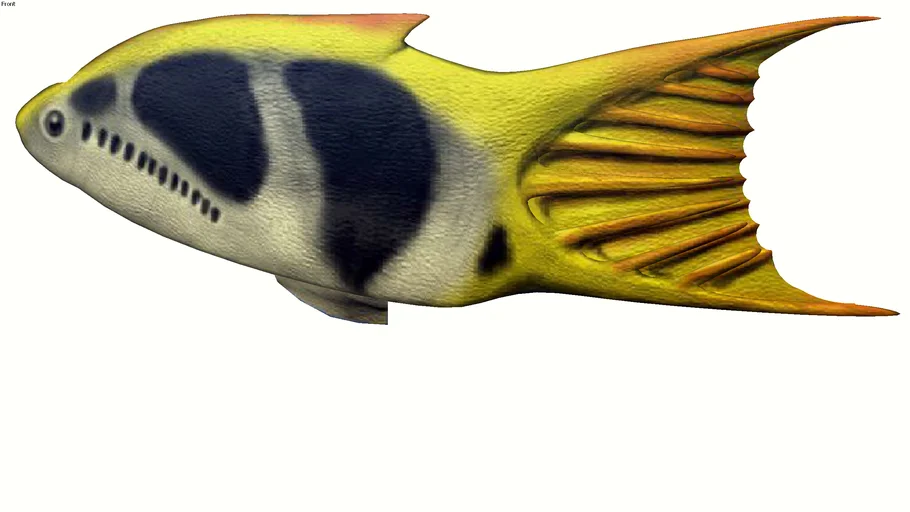 Furcacauda | 3D Warehouse