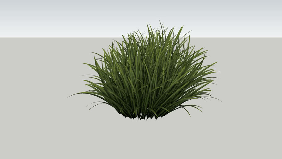 GRASS_2 3D | 3D Warehouse