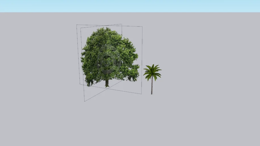 ARBOL PALMERA | 3D Warehouse