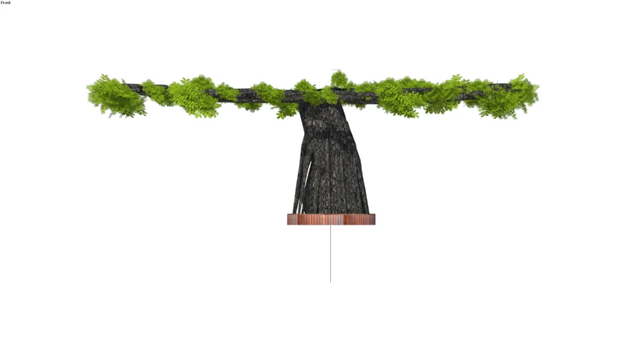 bonsai black olive tree 2d basic zeytin bonzai trees huge big nice ...