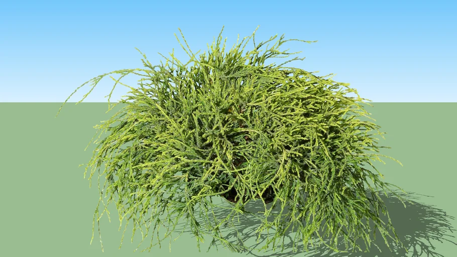 sungold | 3D Warehouse