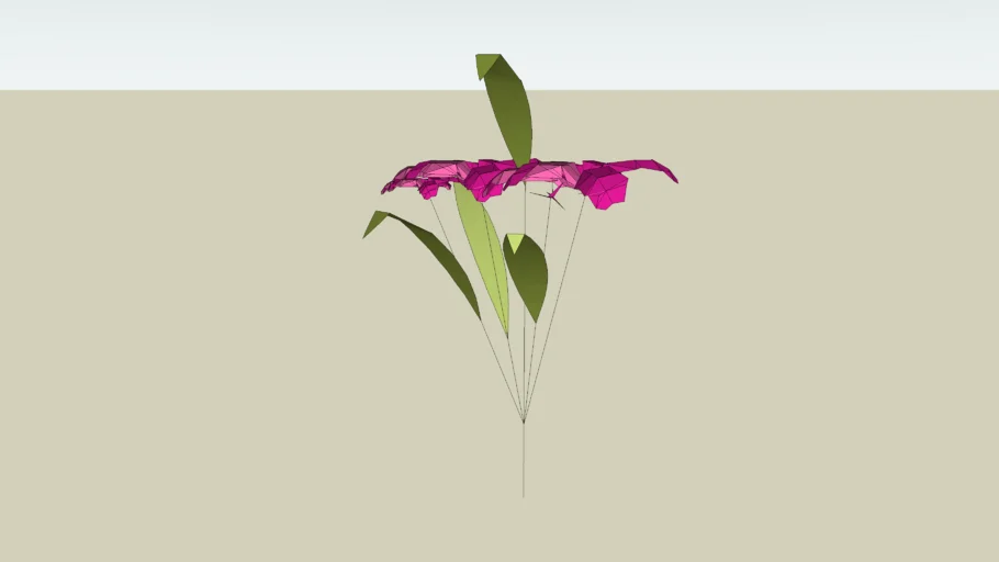 Flower | 3D Warehouse