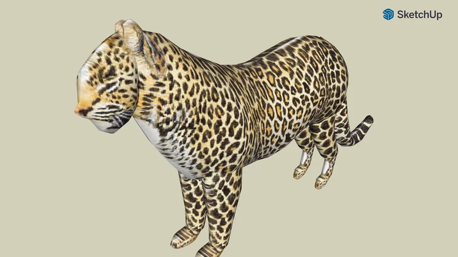 leopard | 3D Warehouse