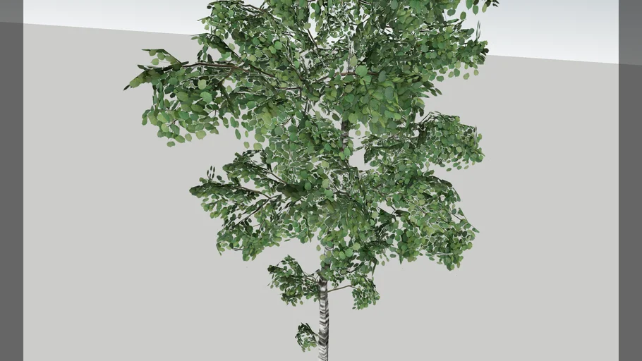 cay ng that | 3D Warehouse